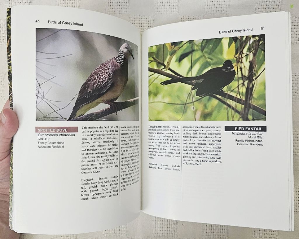 MBH | BIRDS OF CAREY ISLAND by Rosli Ramli, Rosli Hashim, Mohd Sofian ...