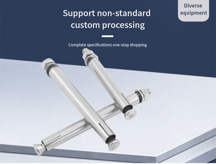 Expansion Anchor Bolt M6 M8 M10 M12 | 304 Stainless Steel | Wall Plug ...