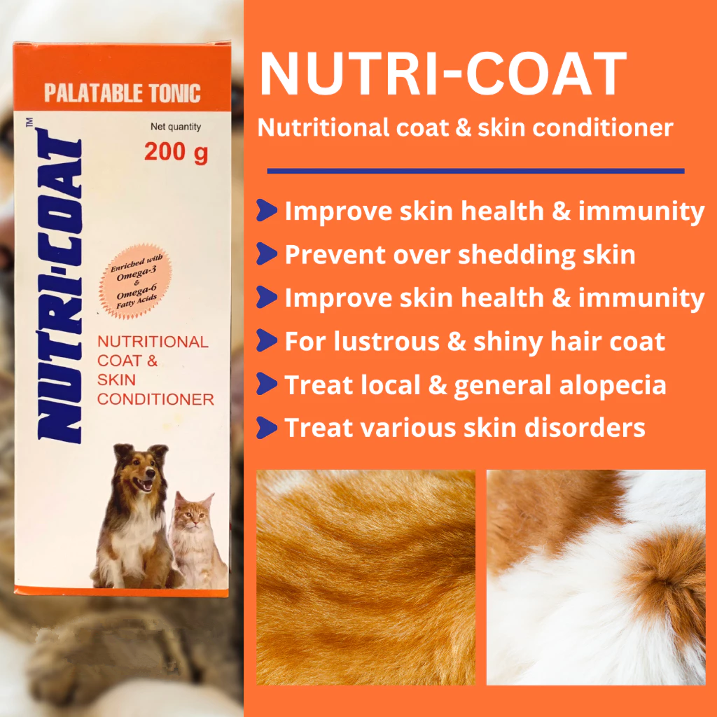 Petcare Nutri-Coat Nutricoat Nutritional Coat & Skin Conditioner (Dog ...