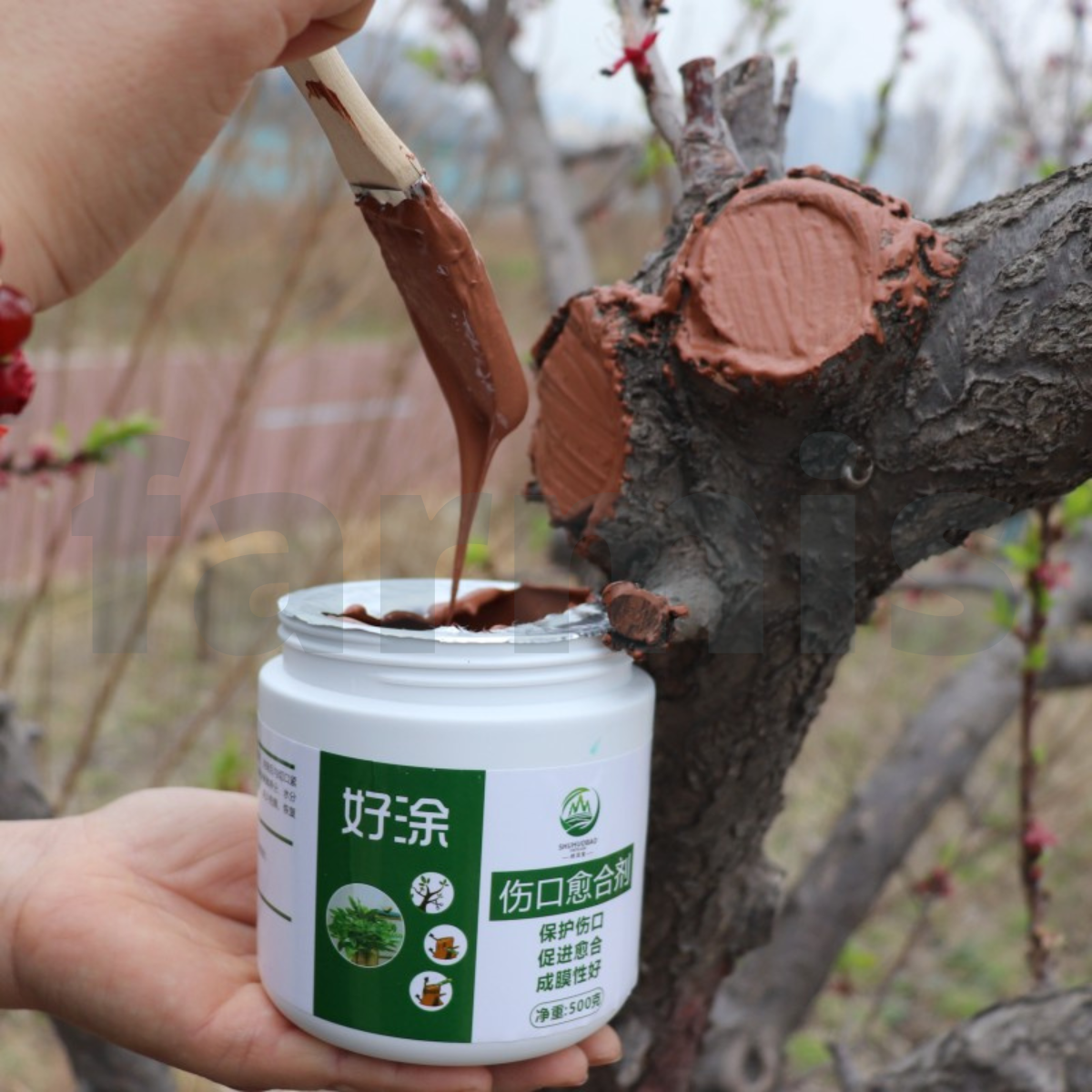Tree Pruning Sealant Pokok 150g 250g 500g 大树伤口涂抹愈合剂 Plant Wound Rotting ...