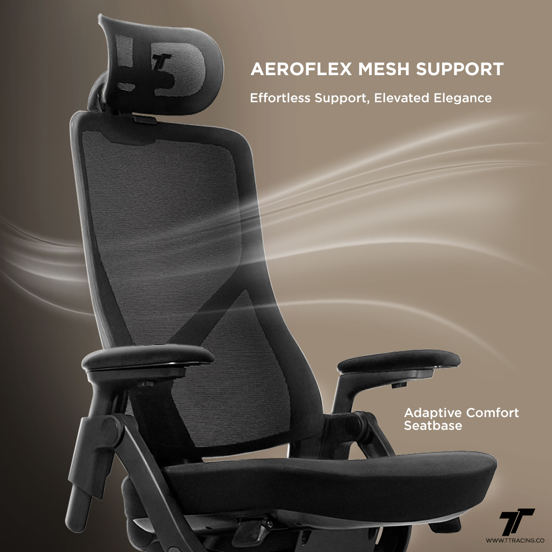 TT AEROFLEX Ergochair Mesh Office Chair Ergonomic Chair Kerusi Pejabat ...
