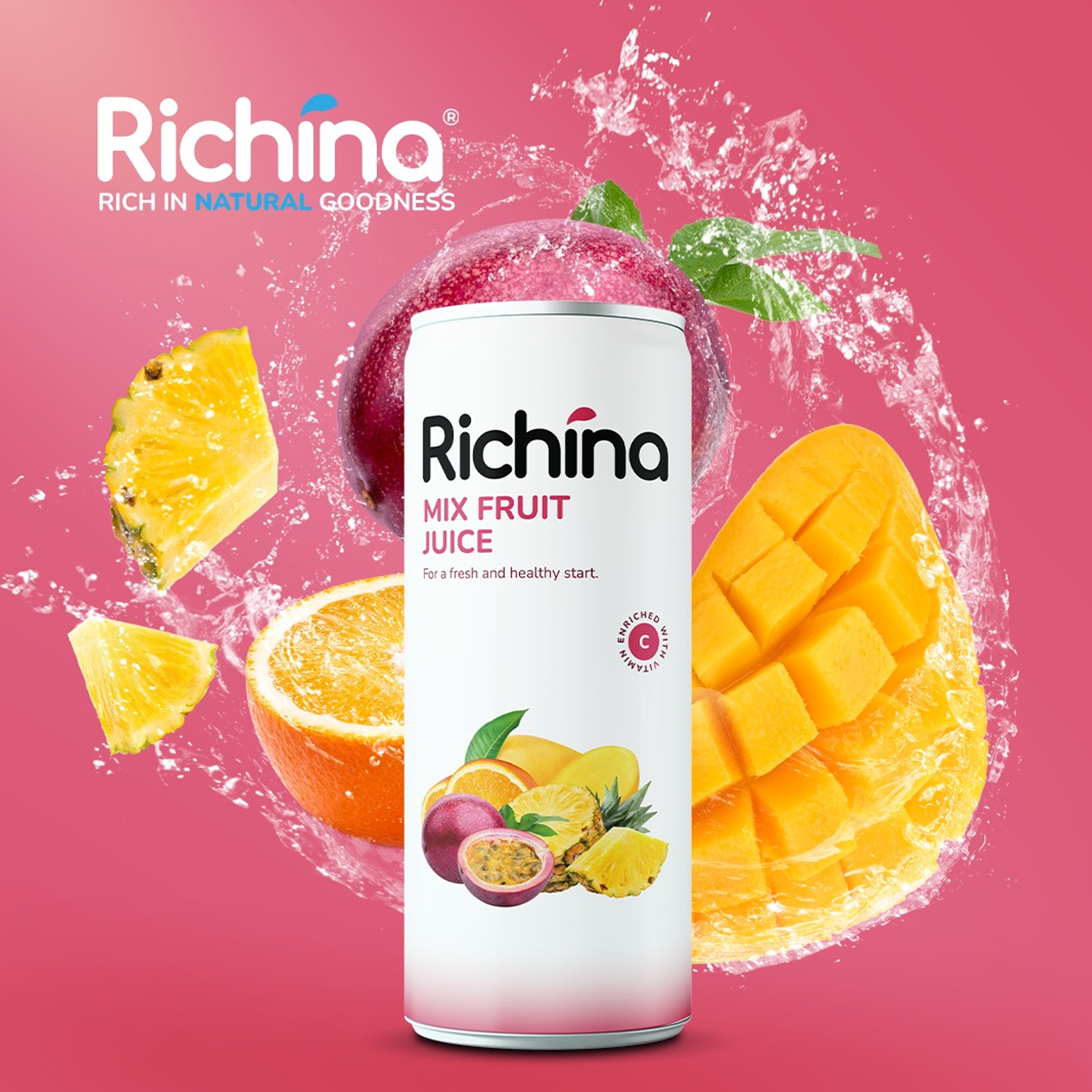RICHINA Fruit Juice Jus Buah (330ml) Coconut Water, Pineapple, Mango ...