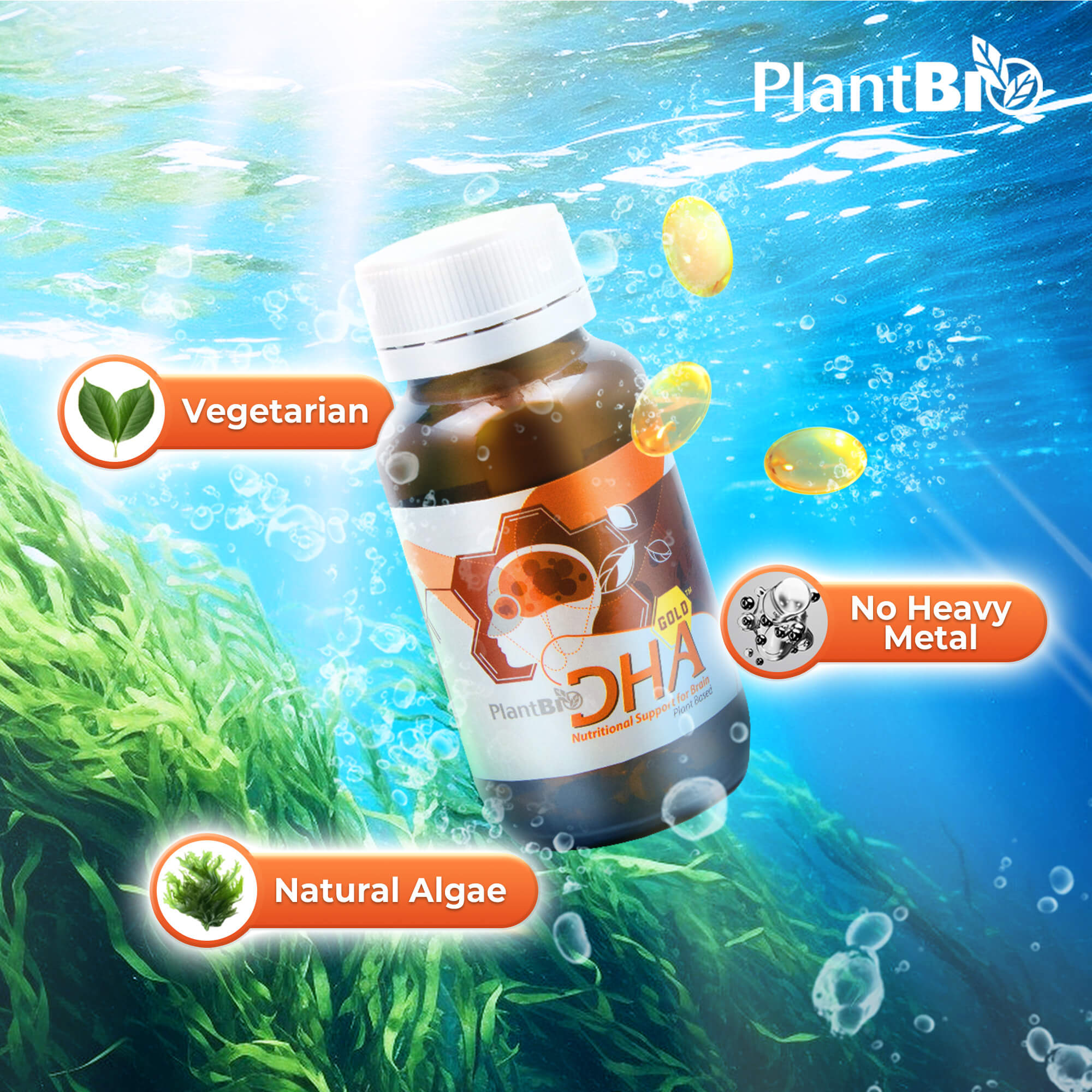 PlantBio DHA Gold - 100% Vegetarian Algae-derived DHA for Brain & Vision 植物DHA (60 Softgels ...