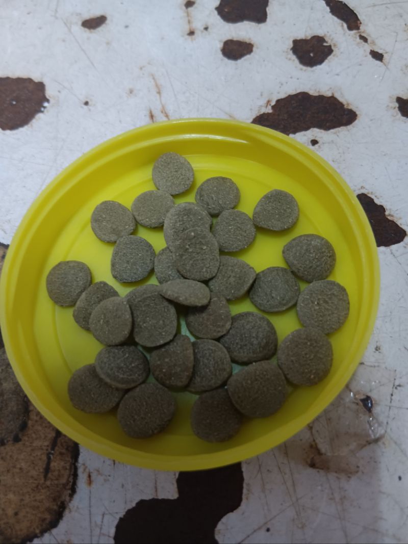 Sanyu Hercar Wafer Bottom Feeder Chips(30g/130g) | Shopee Malaysia