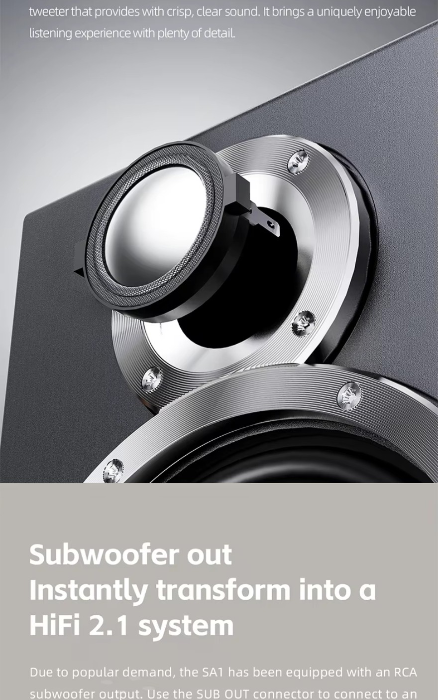 FiiO SA1, High-Fidelity Desktop Active Speaker: with 31 high-precision ...