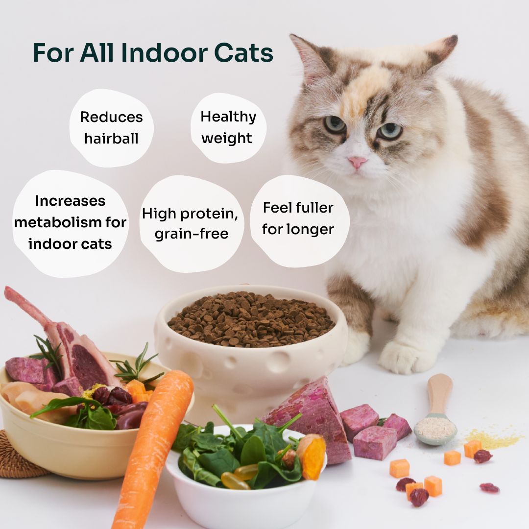 [SEASONAL] 12kg Indoor Care Fresh Chicken & Lamb Cat Food Makanan ...