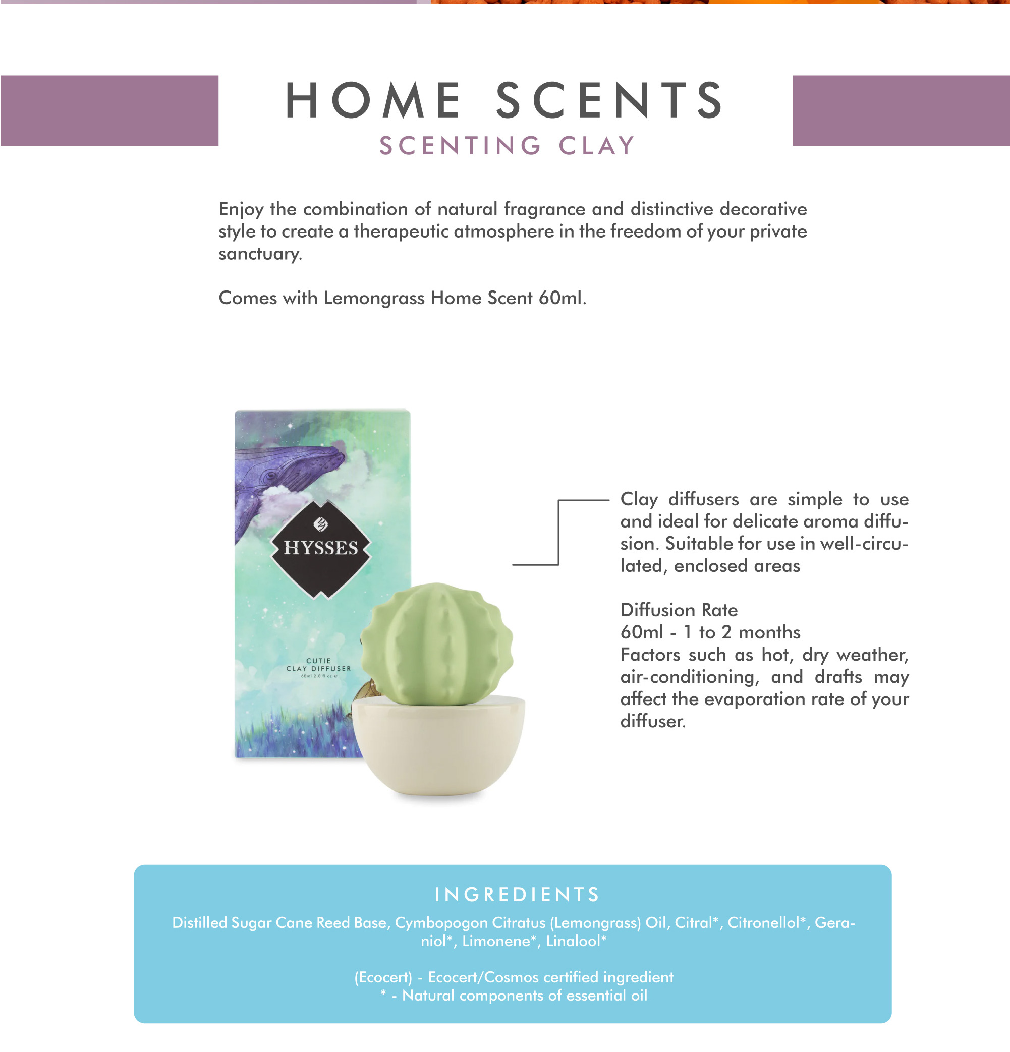 Hysses Cutie Clay Diffuser Cactus, Lemongrass | Shopee Malaysia