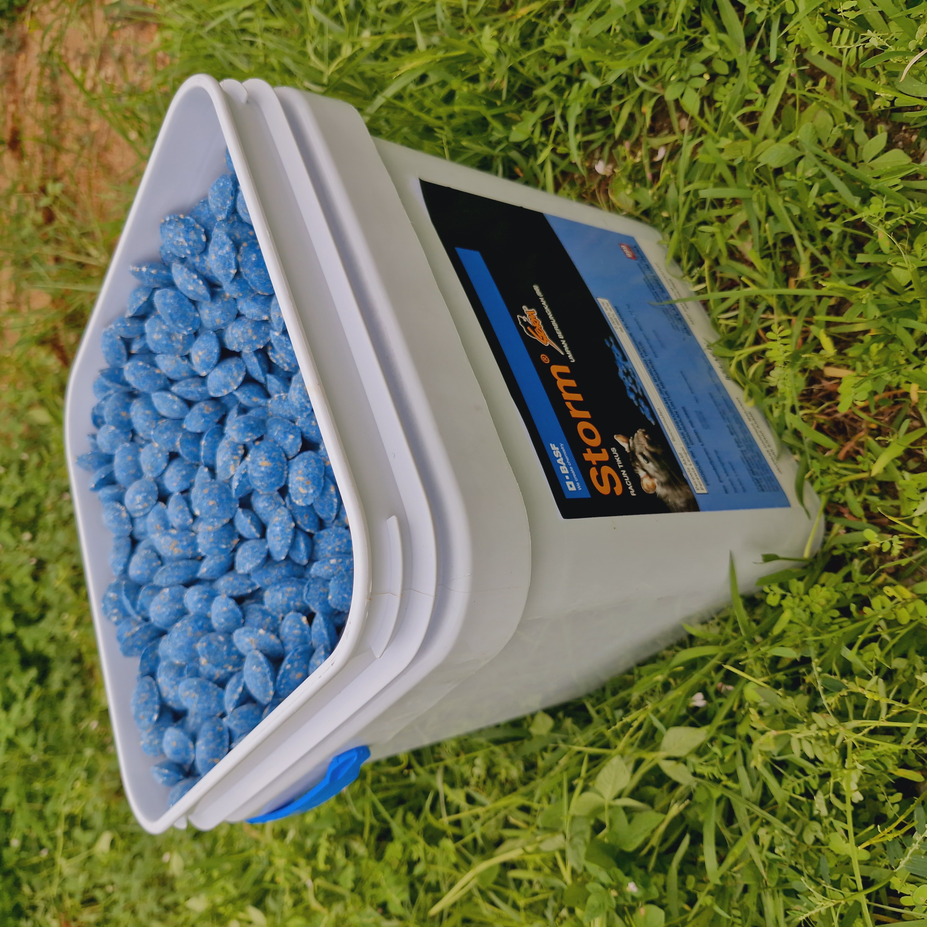 BASF Storm Rat bait Racun Tikus 50g umpan ubat effective rodent ...