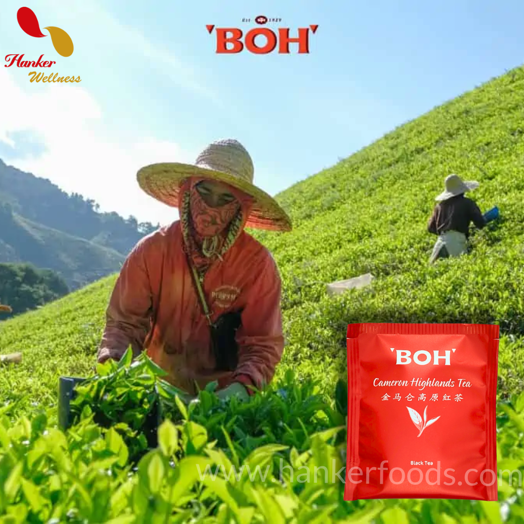 BOH TEA Cameron Highlands Teabag Black Tea 100S | Shopee Malaysia
