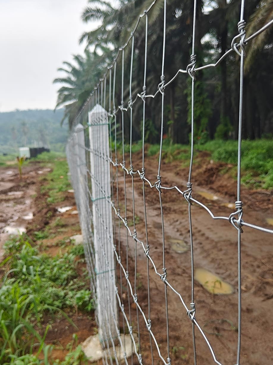 Pagar Cyclone 4/5/6Kaki Griplock 2.5 Pagar Kambing Cyclone Fence Pagar ...