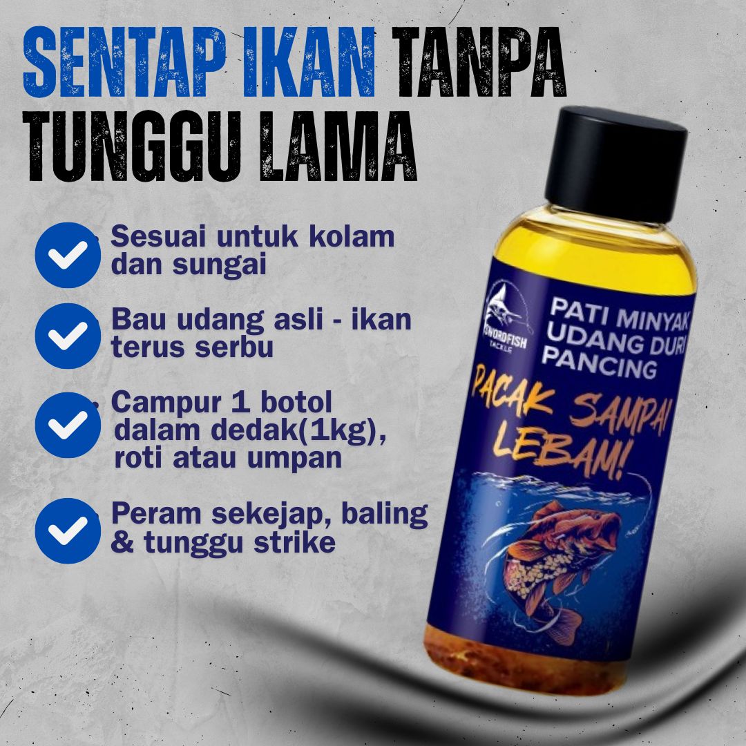 PATI MINYAK UDANG DURI PANCING – UNTUK YANG SERIUS NAK RASA TARIKAN ...