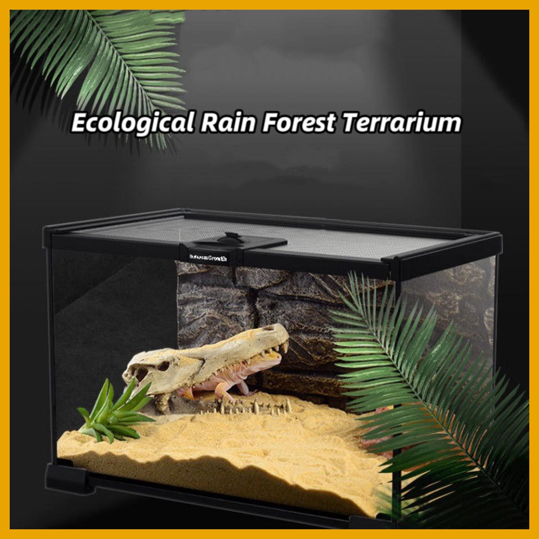 Box Special Climbing Tank for Climbing Pets Tortoise Fish Tank Beetle ...