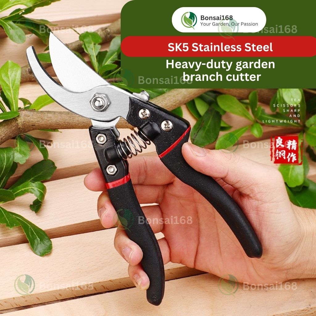 🔥Bonsai168🔥 SK5 Plant Cutter Pruning Shears Garden Scissors Tree Cutter ...