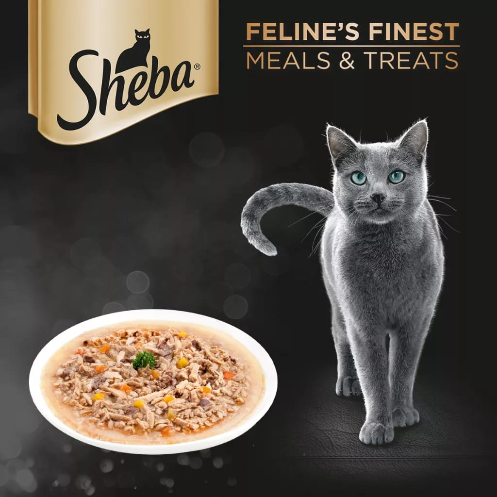 SHEBA /Sheba(1Box 12 Pack )Cat Wet Food Pouch Premium ( Kitten / Adult ...