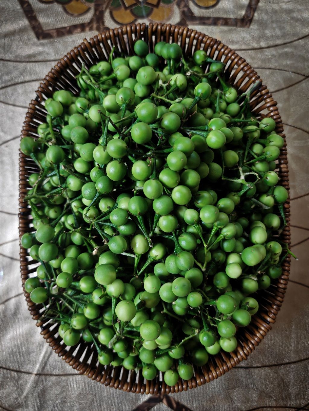 TERUNG PIPIT ORGANIK (500 GRAM) - Terung pipit organik dan segar ...
