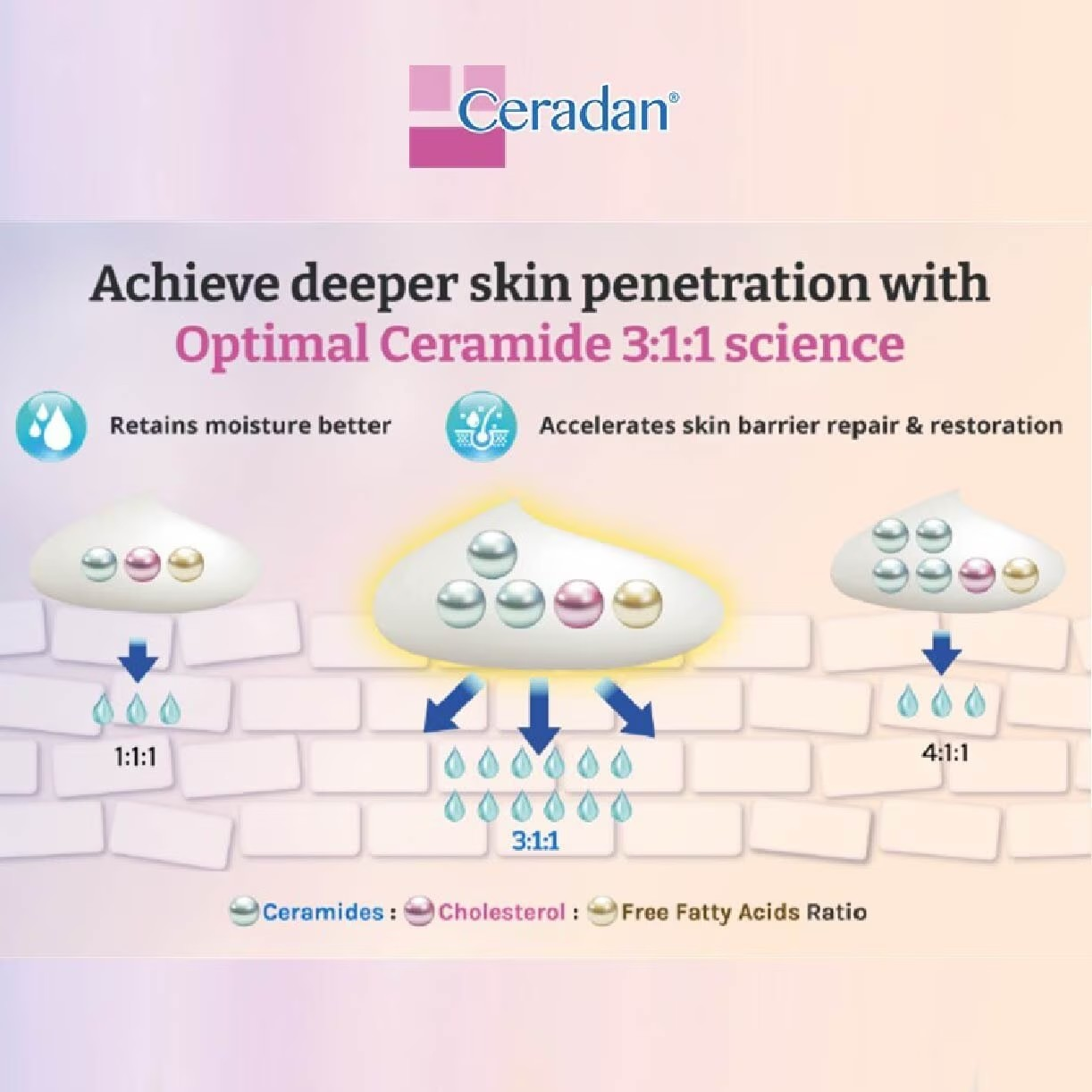 Ceradan Ceramide Moisturising Wash Perfect for relieving the itchy ...