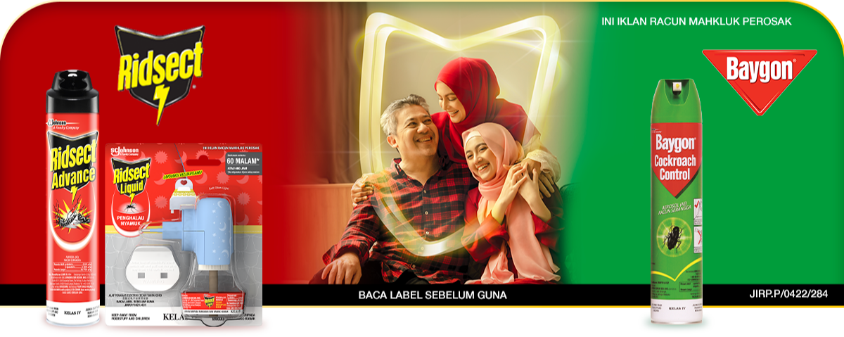 Ridsect Mosquito Mat with Ridsect Mosquito Mat Heater (cordless ...