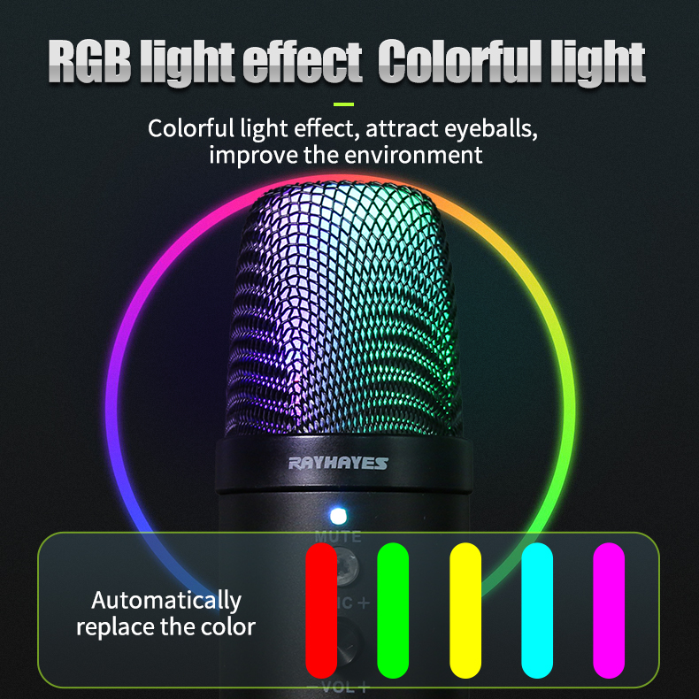 RAYHAYES RGB USB Microphone Condenser Gaming Mic Ultra-compact Portable ...