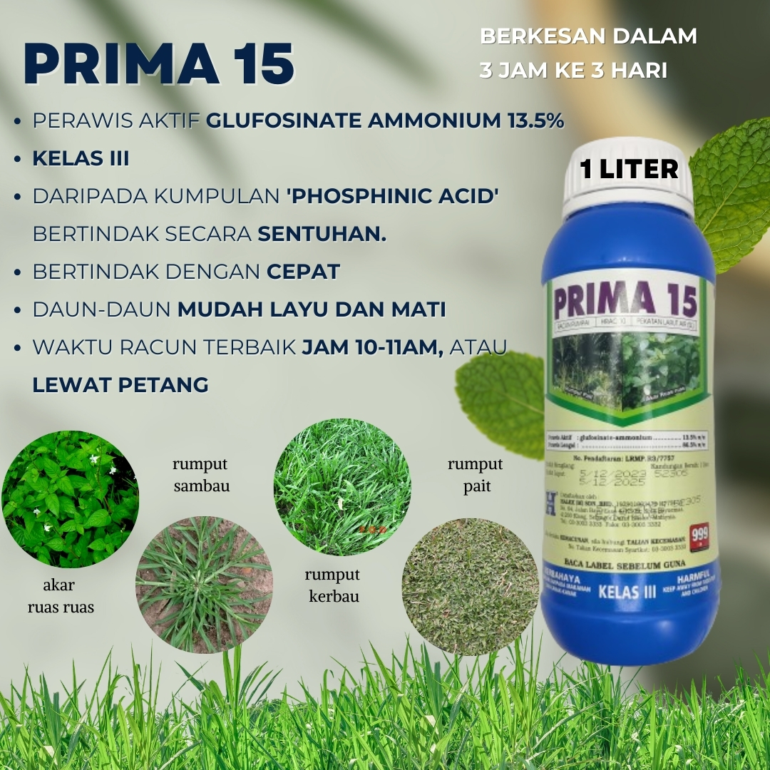 Racun Rumput Prima 1L 4L herbicide rumput kerbau rumput pait rumput ...
