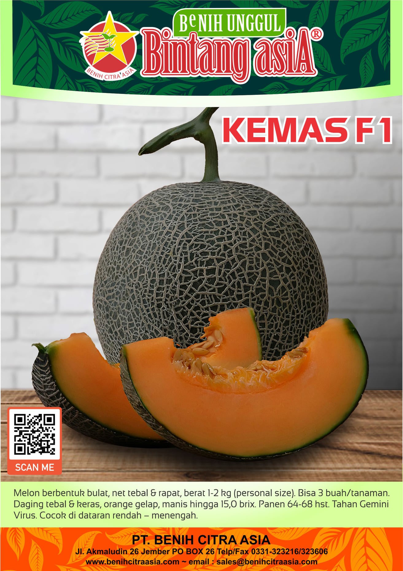 10 Biji Benih Rock Melon Golden Melon Pelbagai Variasi | Shopee Malaysia
