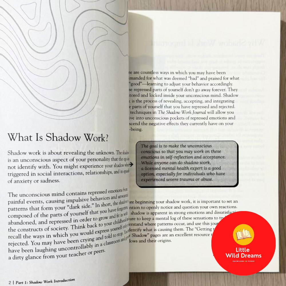 EXPANDED EDITION: The Shadow Work Journal: A Guide to Integrate and ...