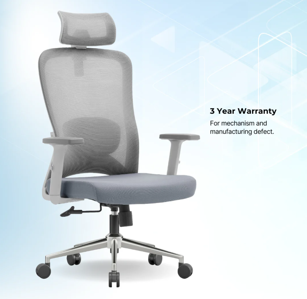 ANEW Stride PRO Ergonomic Chair with Seat Backrest and Adjustable ...