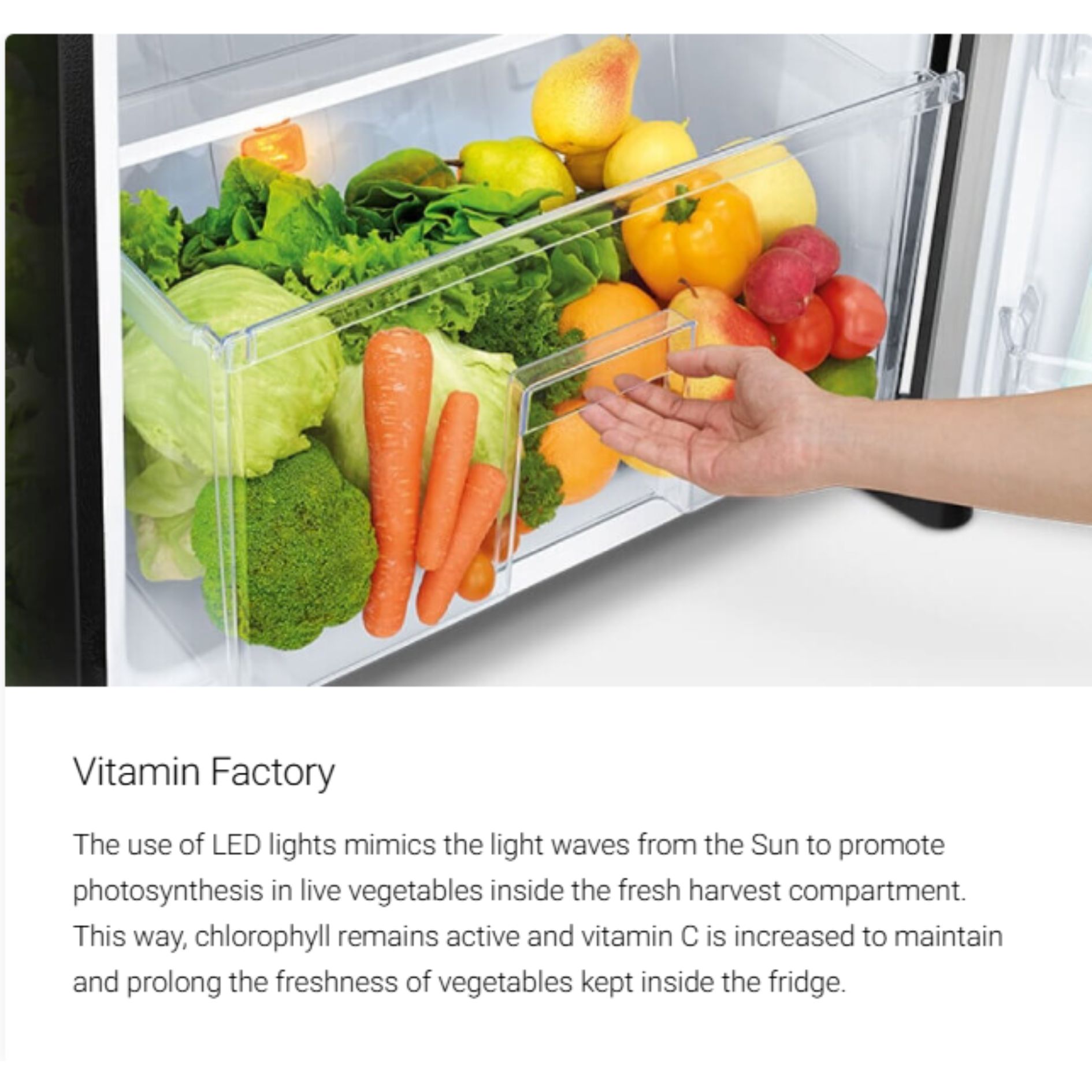 (Free Install)Mitsubishi 389L | 421L 2 Door Inverter Top Freezer ...