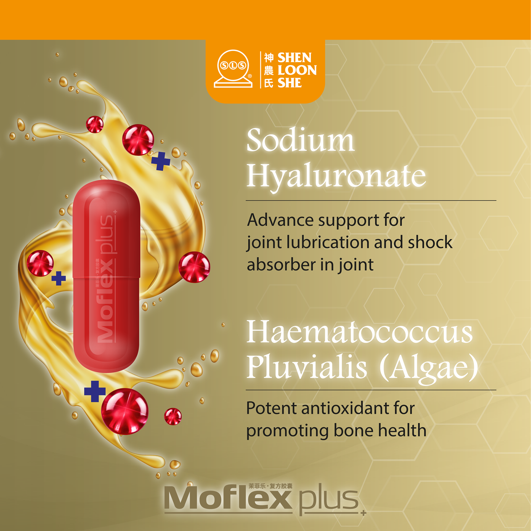 SLS Moflex Plus Knee Pain Supplement 神农氏补骨天王膝盖 弹弓手腰骨 (1 Bottle x 30 ...
