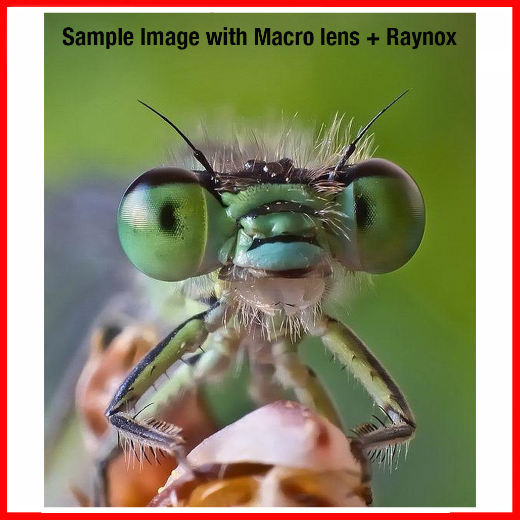 RAYNOX DCR-250 MACRO LENS FILTER ATTACHMENT 2.5X MAGNIFICATION | Shopee ...