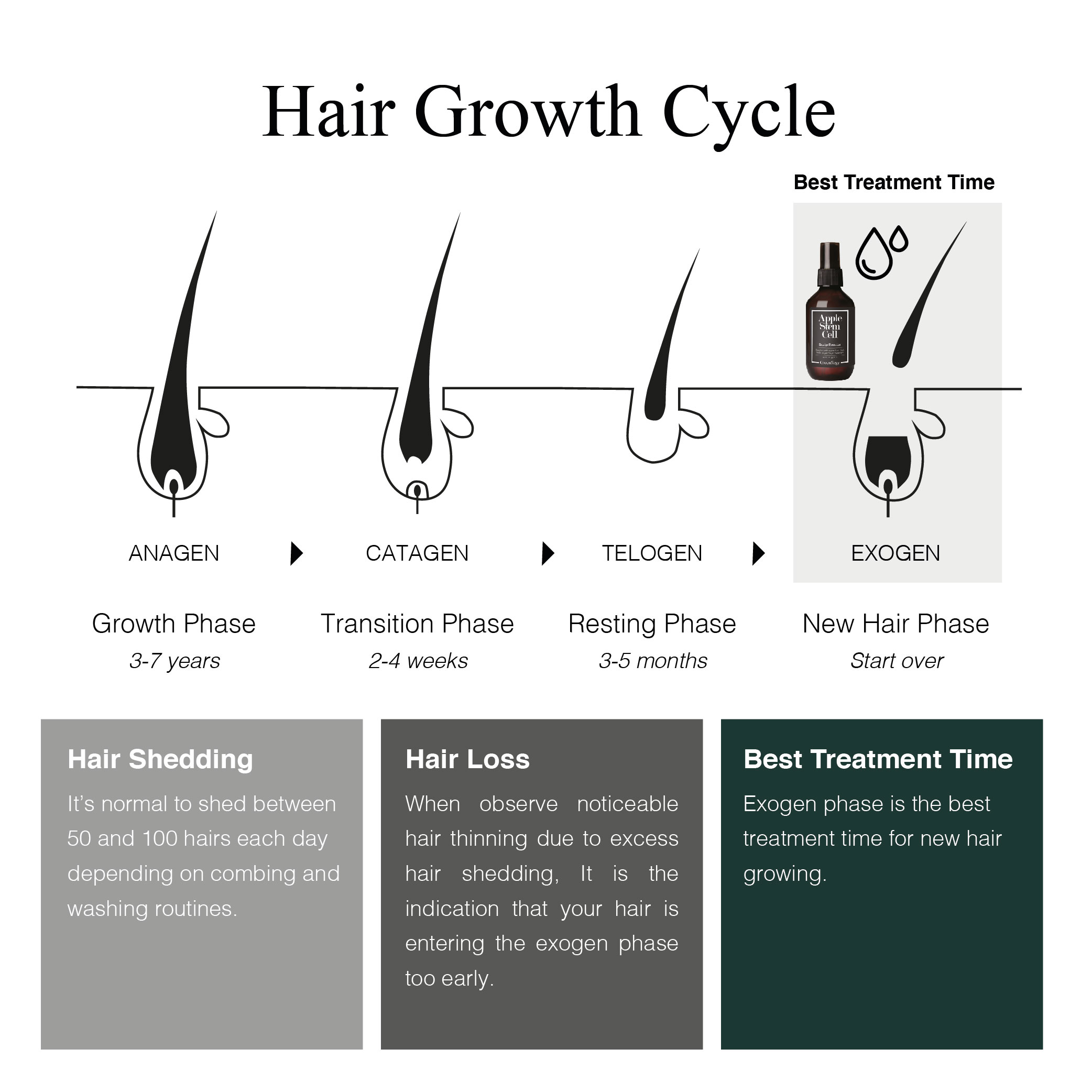 Greenology Natural Apple Stem Cell Scalp Booster (Hair Loss/ Hair Fall ...
