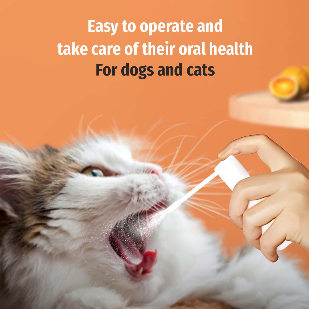 Cassiel Pet Spray Clean the Mouth Relieve Oral Discomfort Promote Oral ...