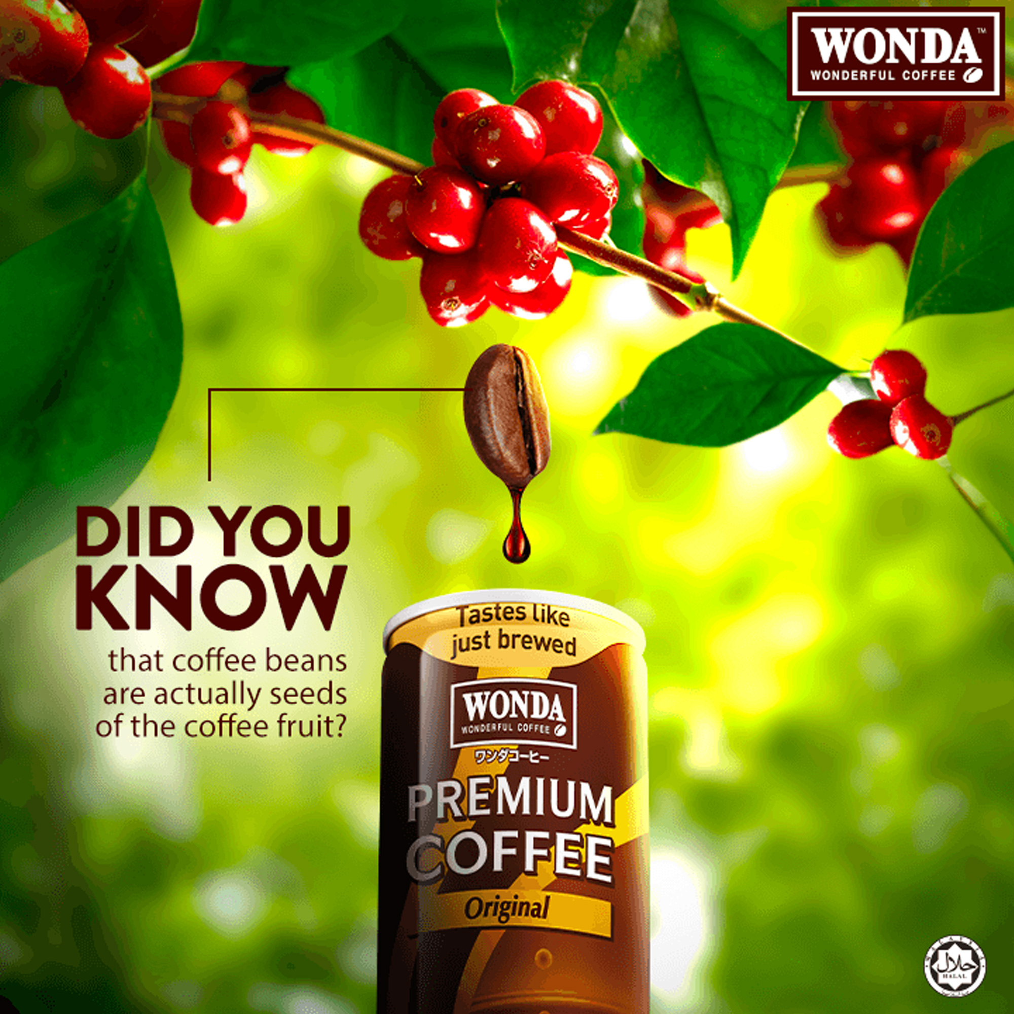 WONDA Premium Coffee (KOPI Tarik, ZERO Max, Premium Mocha, Original ...