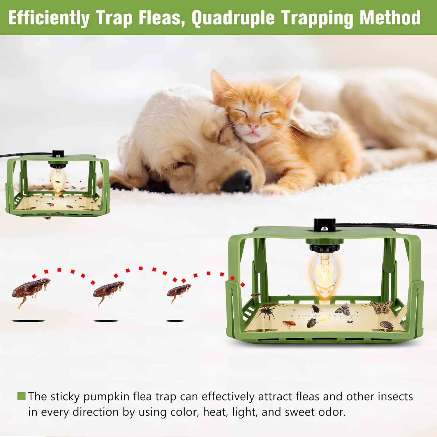 Ultimate Adjustable Flea Traps / Indoor Insect Mosquito Bed Bug Killer ...