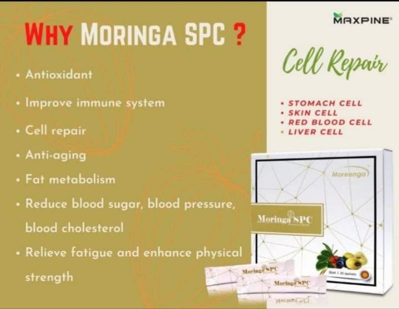 (FREE 1S Detox) Moringa SPC Sachet BIG (30ml x 20Sachets) | Shopee Malaysia