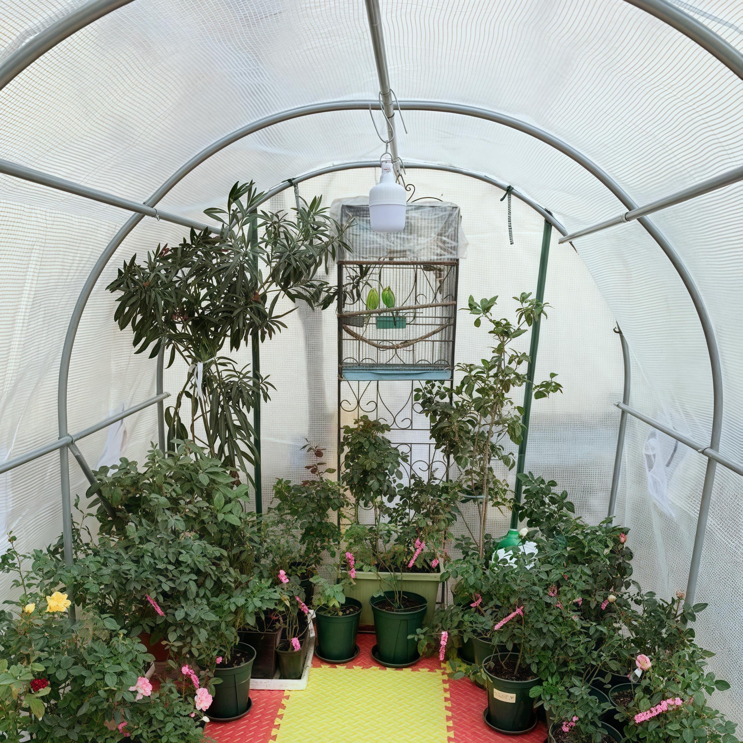 Walk In Household Succulent Greenhouse Flower Sprout Nursery Planting ...