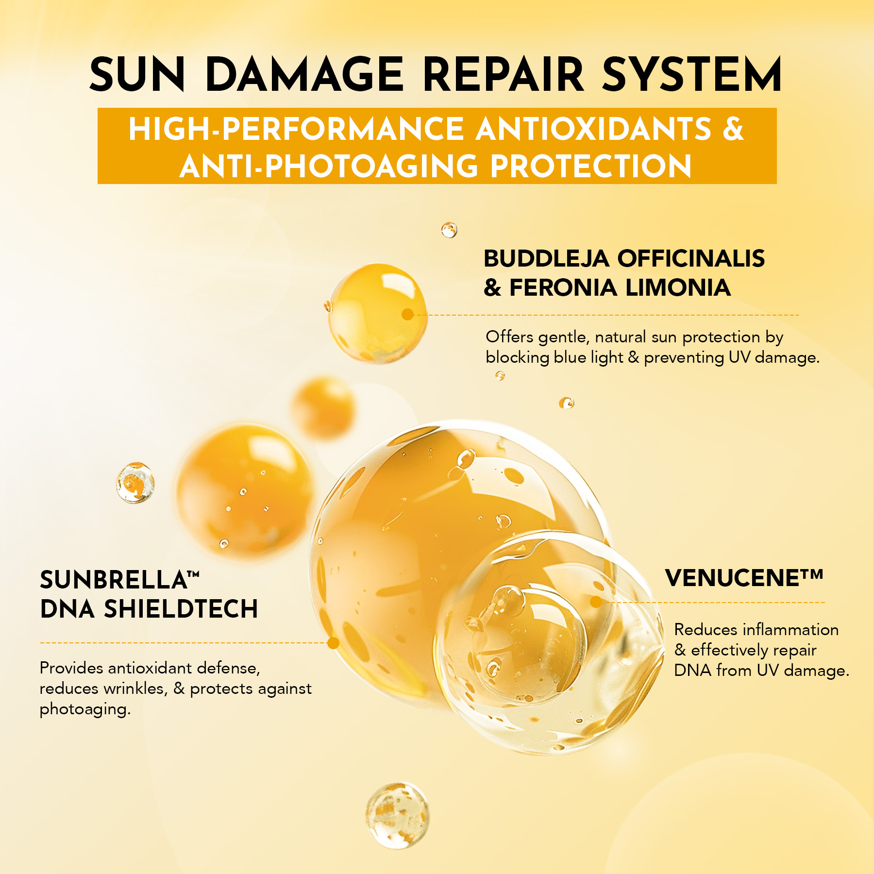 [HOT] YOU SUNBRELLA 2% Niacinamide Brightening Sunscreen SPF50+ PA ...