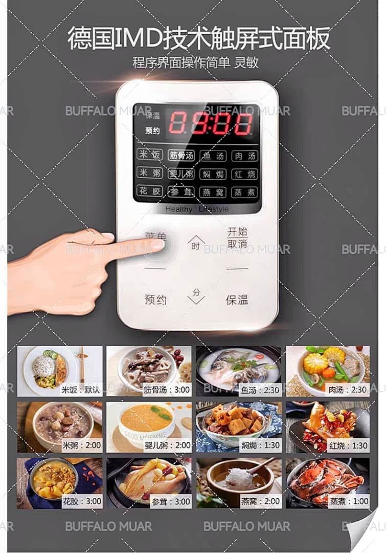 Tiantian BUFFALO TOROS MULTIFUNCTION ZISHA POT STEW COOKER 5L | PRE-SET ...