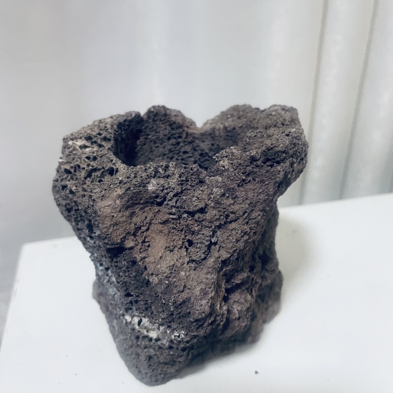Larva Rock Pot (big)~火山石盆（大) | Shopee Malaysia