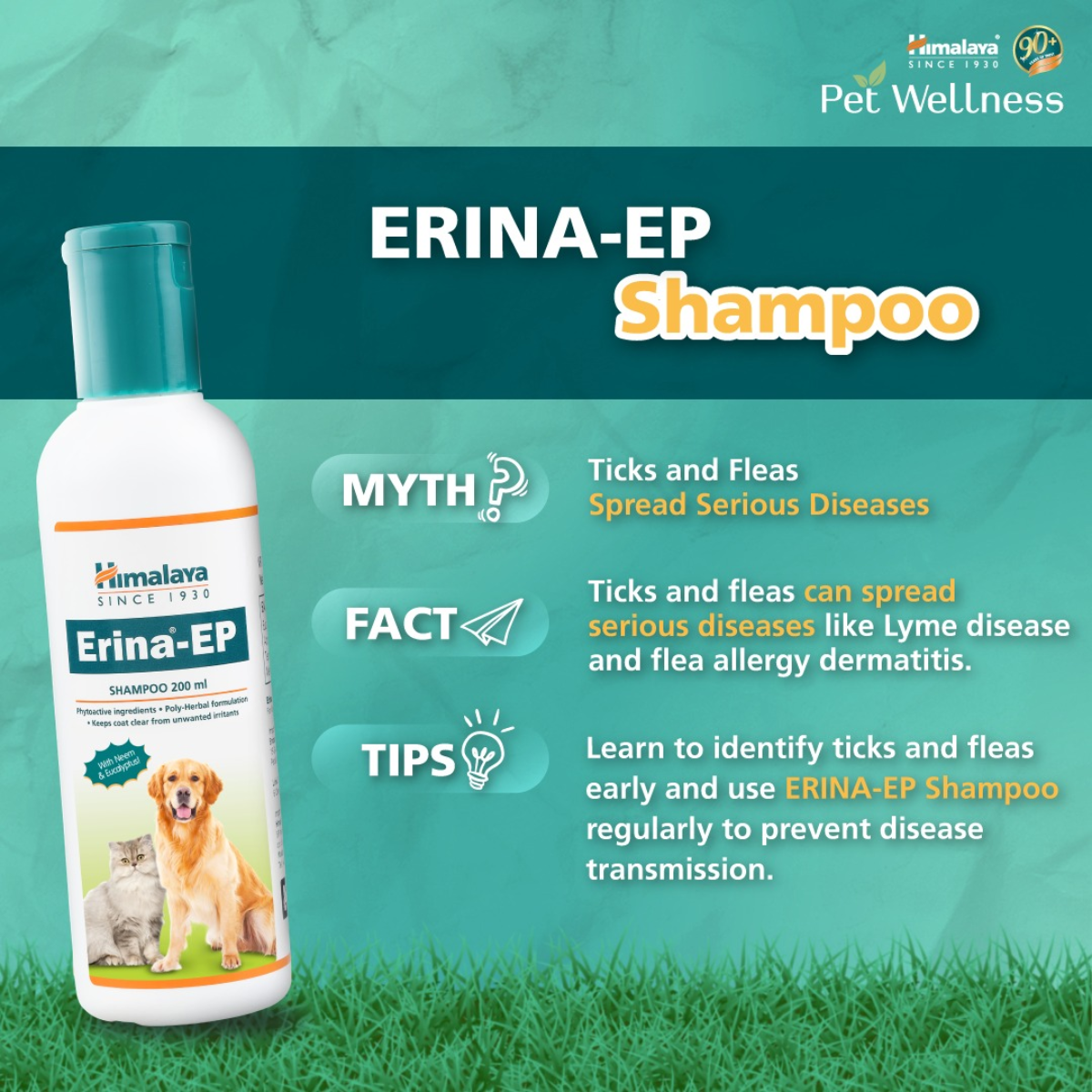 Himalaya Erina EP Shampoo 200ml Fleas Ticks Repellent Lice | Shopee ...