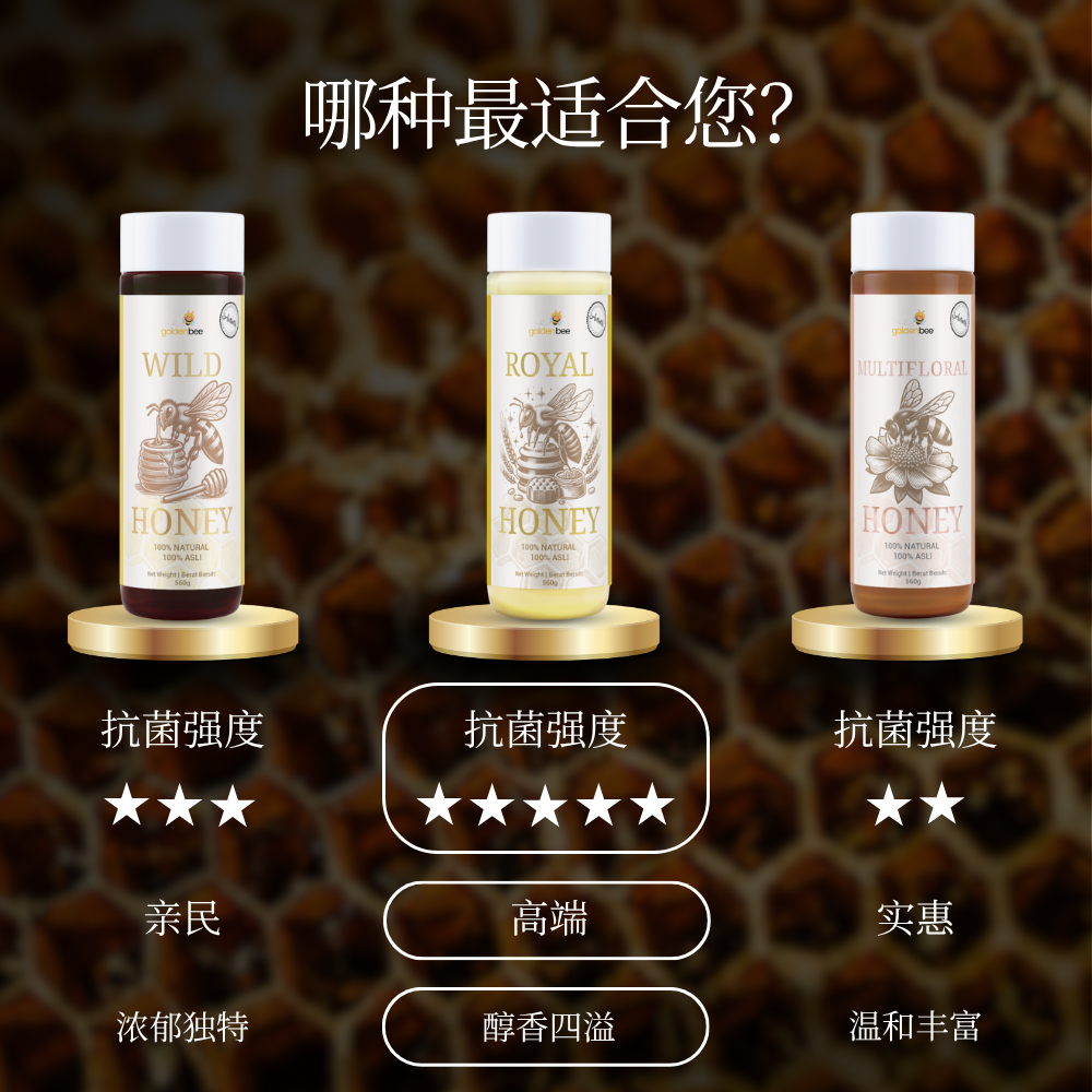 Goldenbee Royal Honey 蜂皇乳蜂蜜 560g - 100% 天然蜂蜜 | 野外采集 | 富含10-HDA | 正宗优质皇家超级蜂蜜 | Rich in 10-HDA ...
