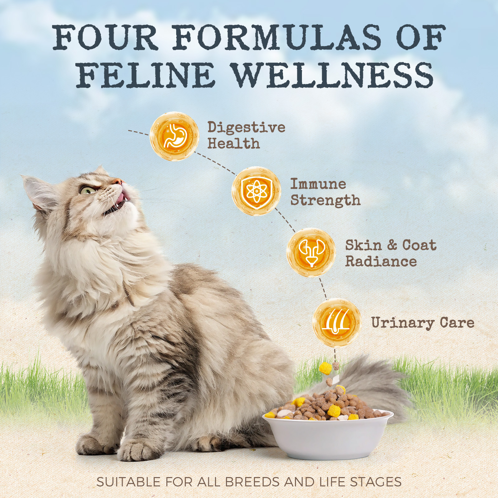 VEV Pet Freeze-Dried Treats Dry Cat Food 猫冻干鸡胸粒 猫粮 (1kg) | Shopee Malaysia