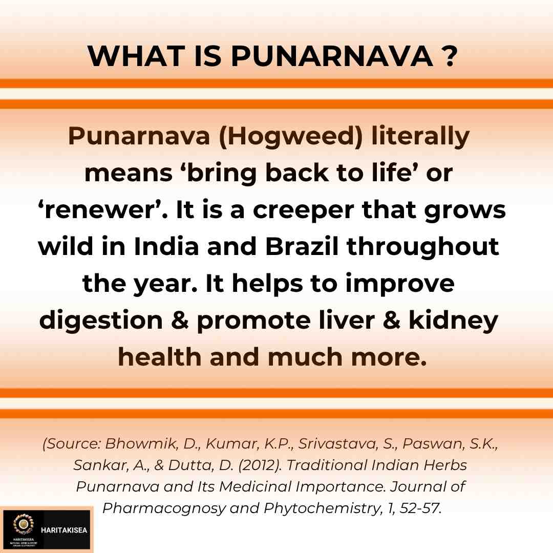 100% PURE NATURAL PUNARNAVA (MOOKIRATTAI) ROOT POWDER 200GMS(Boerhavia ...