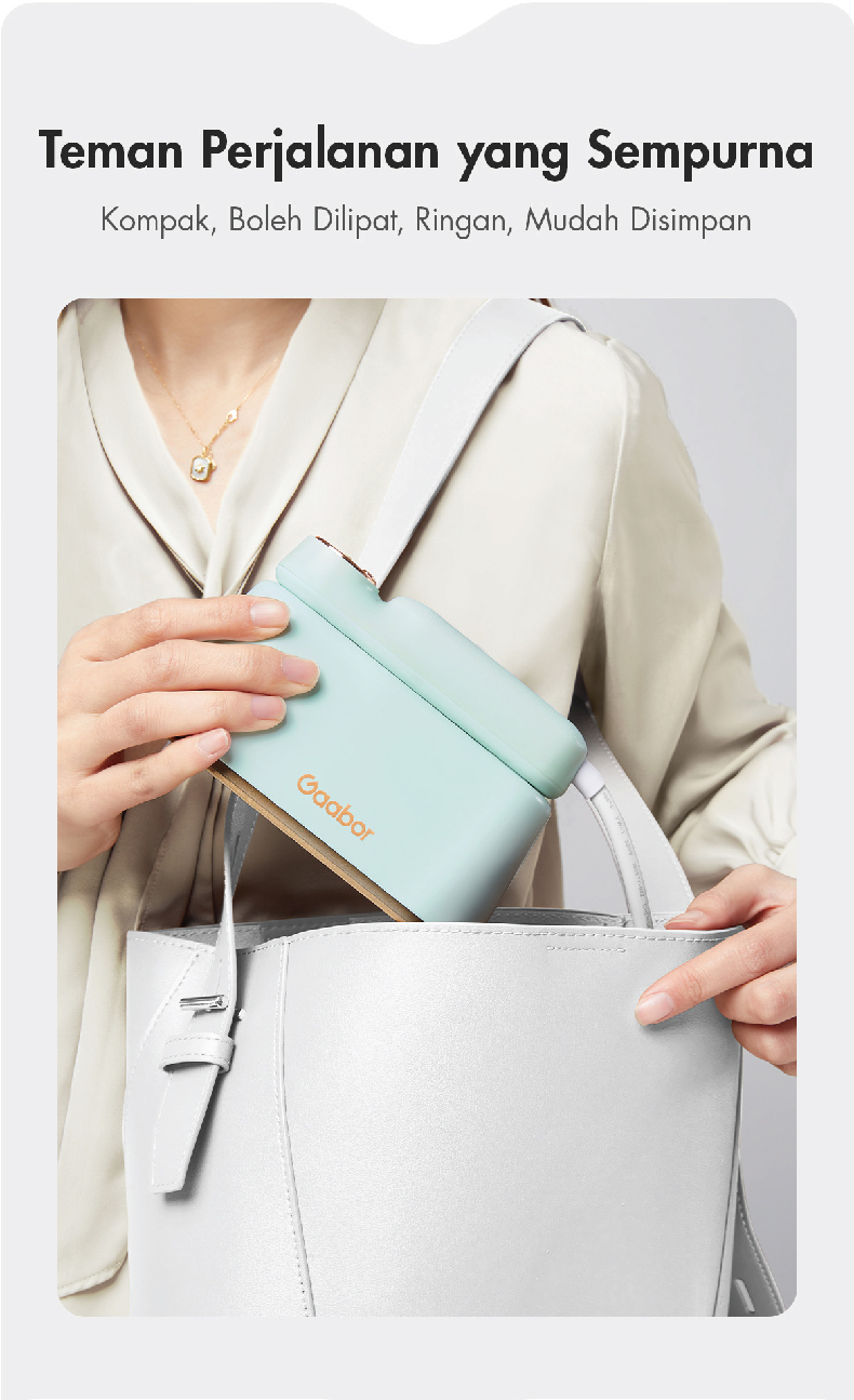 Gaabor Exquisite Electric Steam Iron Wet & Dry Iron Switching Steamer ...