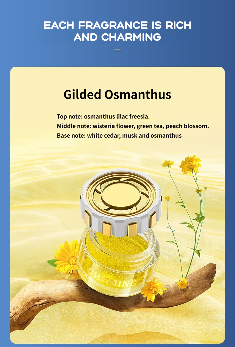 CHEMING Dashboard Series Car Perfume Car Air Freshener Smart Car ...