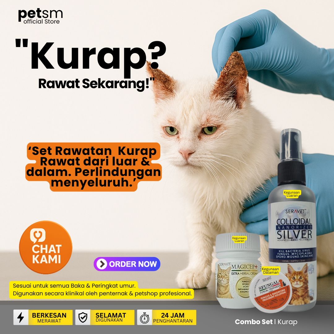𝗦𝗘𝗧 𝗣𝗘𝗡𝗝𝗔𝗚𝗔𝗔𝗡 𝗞𝗨𝗟𝗜𝗧 𝗛𝗔𝗜𝗪𝗔𝗡 - Kurap, Kudis, Kegatalan & Ruam Kucing ...