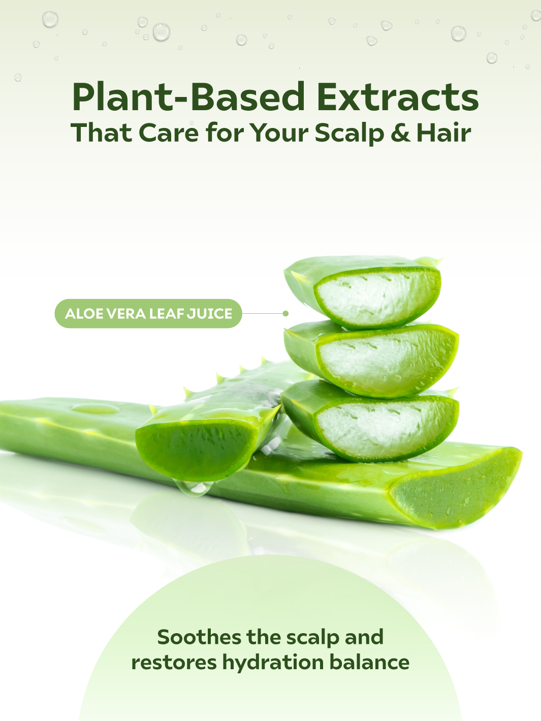 The Olive Tree Nature Volume Shampoo 500ml For Hair Loss Concern ...