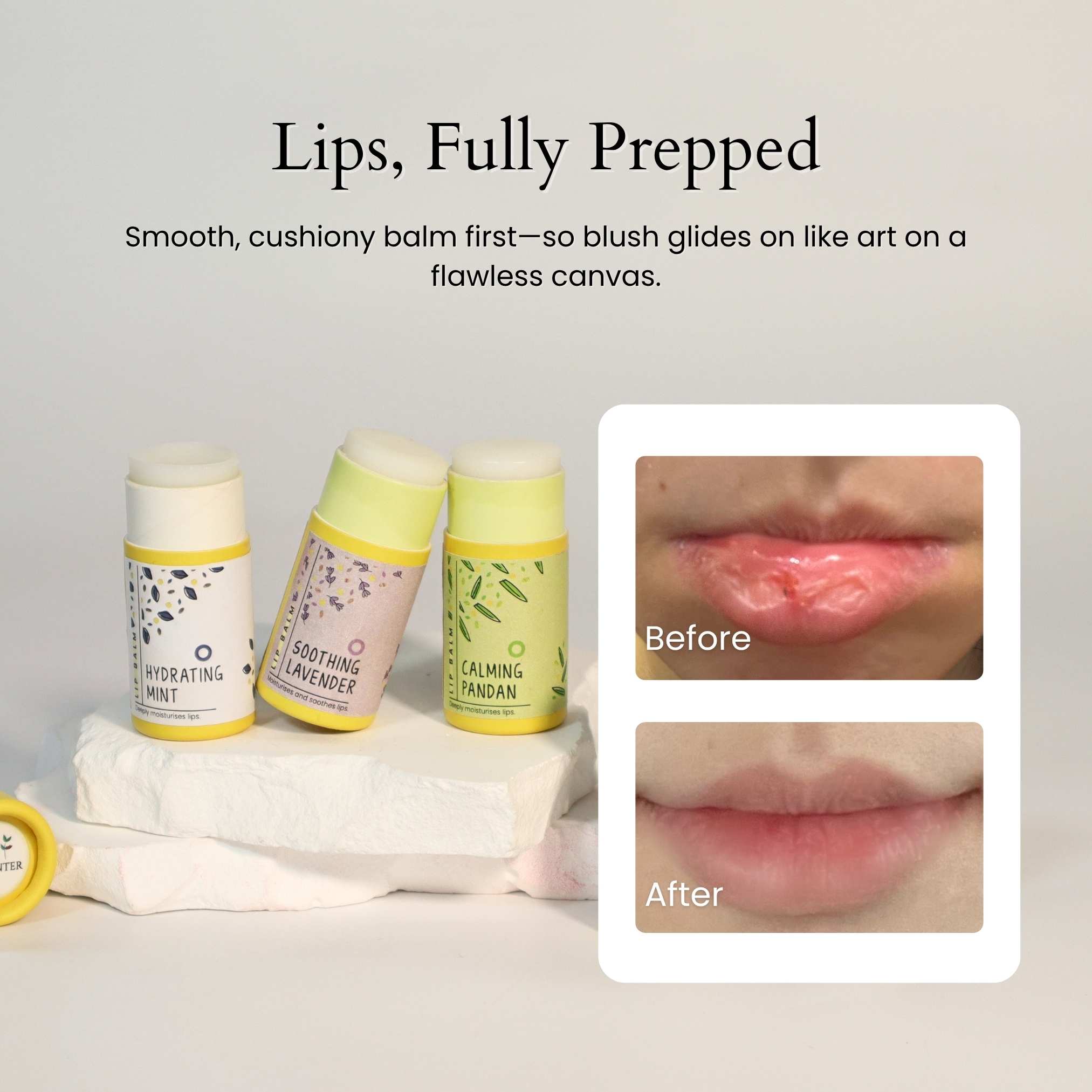Lips Carpenter [Cute Daily Essentials Gift Set] Moisturising Lip Balm ...