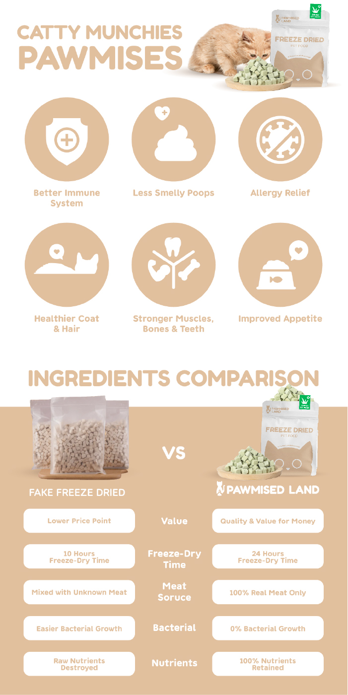 PawmisedLand Catty Munchies - Pumpkin Eggyolk - Functional Series ...