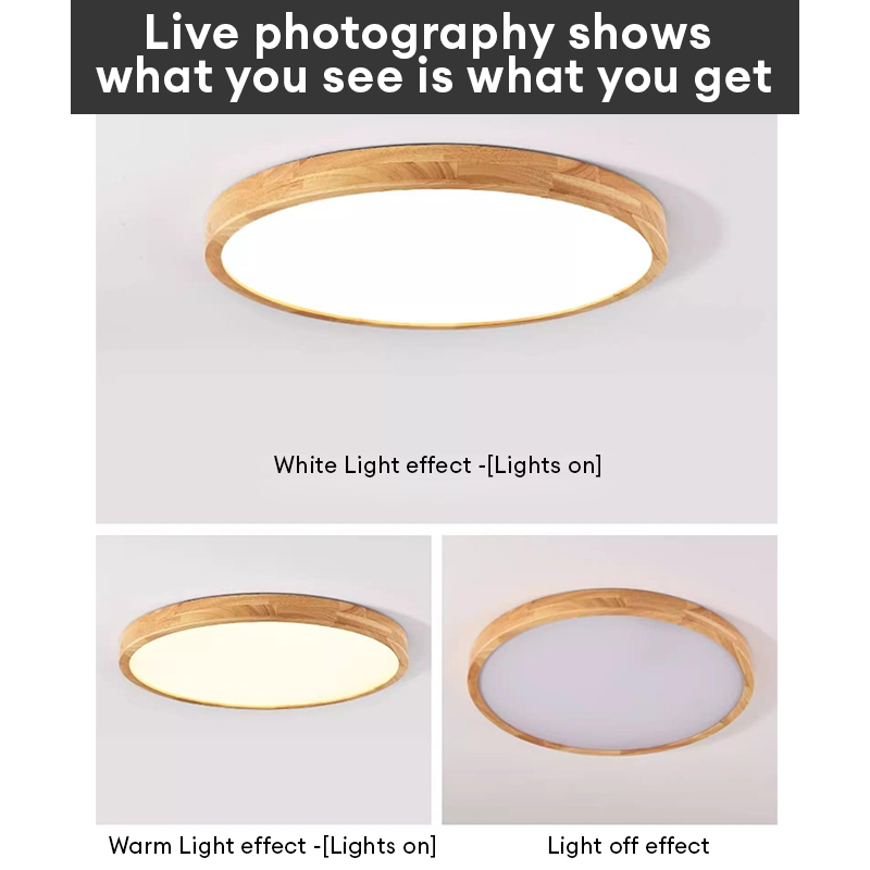 Ceiling light High-brightness LED living room light White light/warm ...