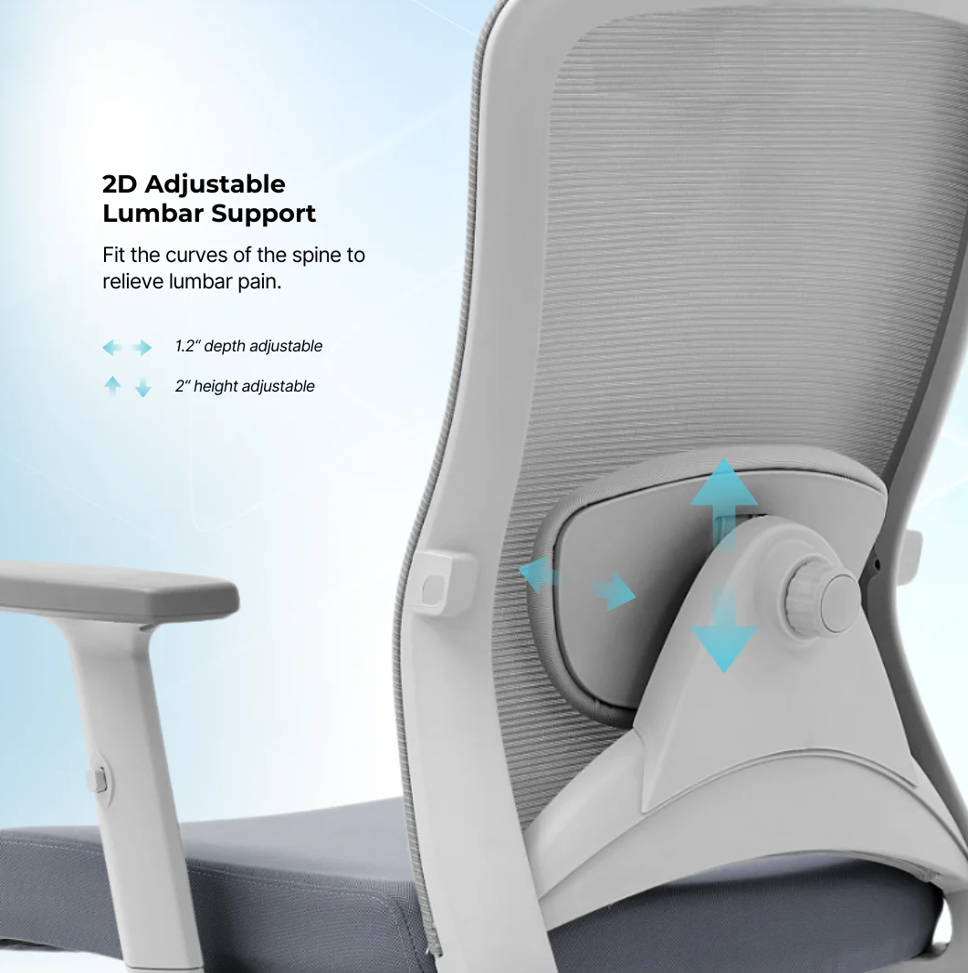 ANEW Stride PRO Ergonomic Chair with Seat Backrest and Adjustable ...